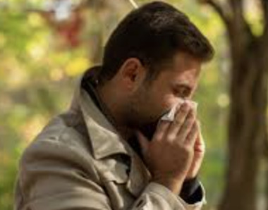 Combatting Seasonal Sickness: How Chiropractic & Massage Therapy Care ...