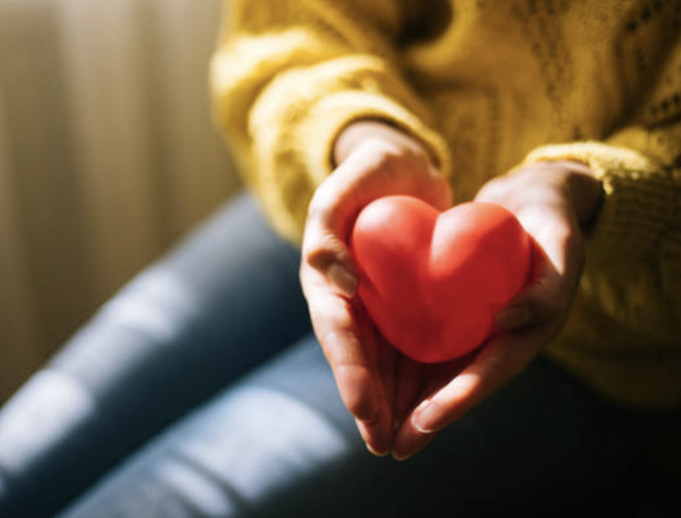 February 2025 Newsletter | Domier Chiropractic