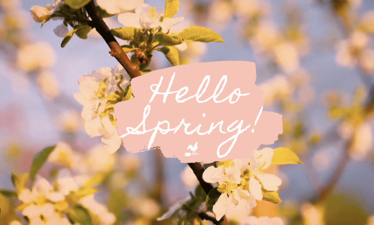 Spring Is Here: Setting Your Goals and How Chiropractic Can Help You ...