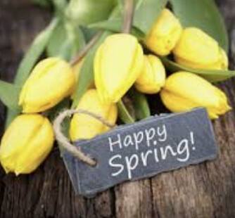 Getting Outside Again: Why Spring Sunlight Improves Your Health ...